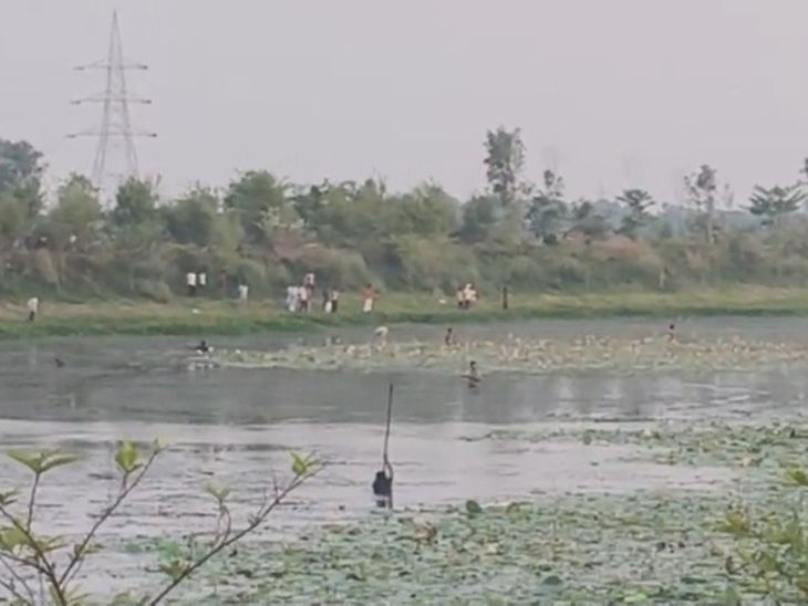 Samda Bird Sanctuary in Sohawal has become a hub for fish hunters