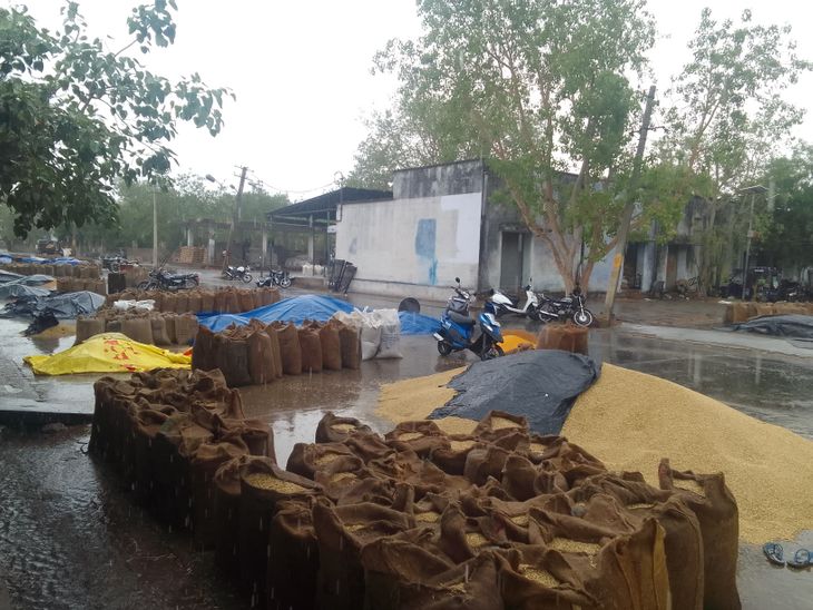 Heavy rain with strong winds at many places in the district after noon, commodities got wet in ...