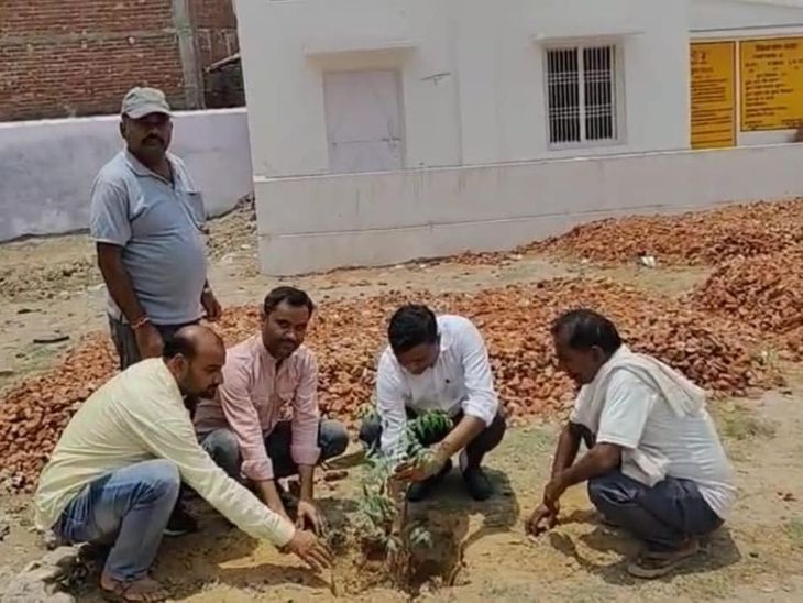Plantation on World Environment Day in Balha | बलहा में विश्व पर्यावरण ...