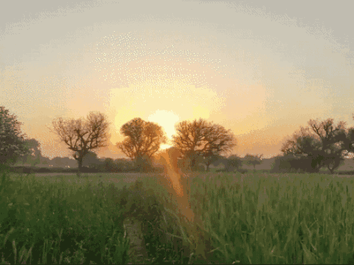 uttar pradesh up weather heat wave Alert 75 Districts Prayagraj ...
