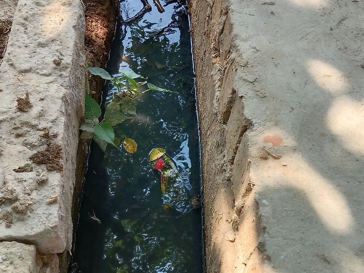 Lack of cleaning of drains in Bakarpur | बाकरपुर में नालियों की सफाई की ...