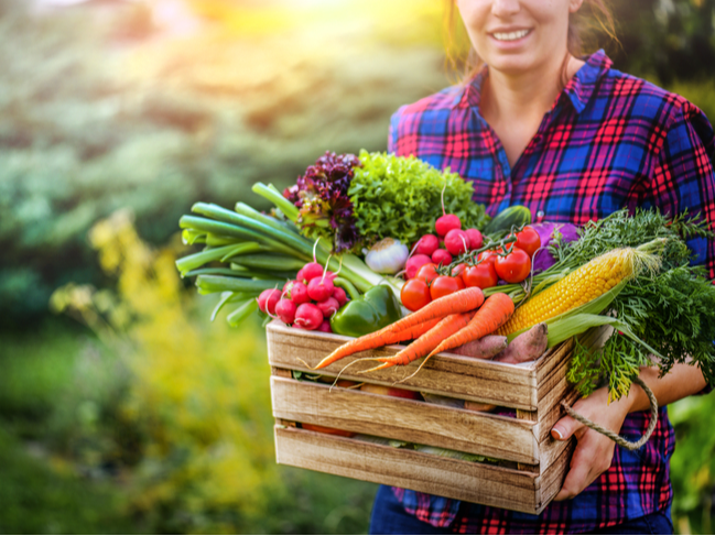 Grow tasty and healthy green vegetables at home