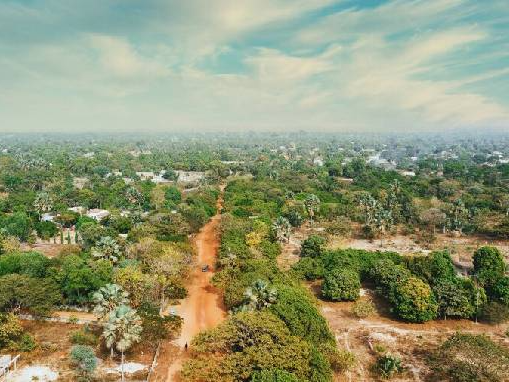 Governor approves amendment to TNCP Act | राज्यपाल ने टीएनसीपी एक्ट संशोधन को मंजूरी दी: सरकारी ...