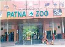 Patna Zoo turns 52 years old... 1100 species of wild animals and birds ...
