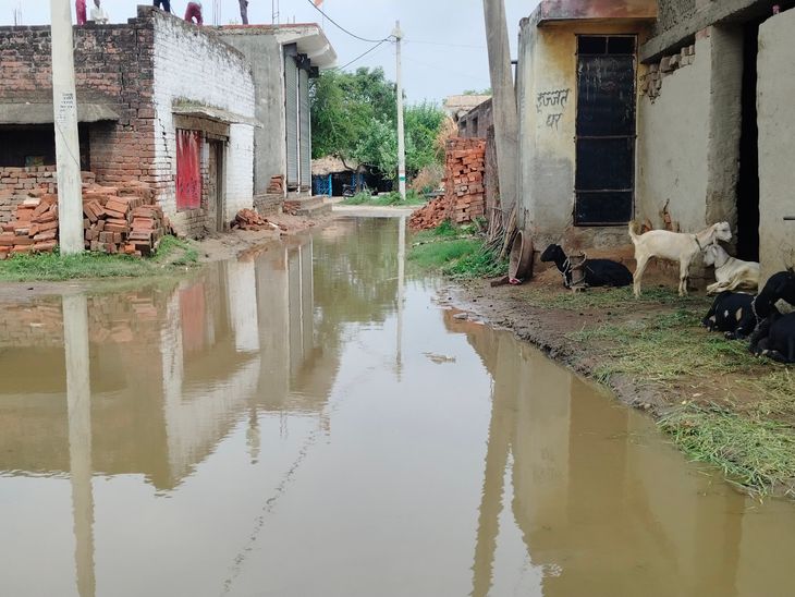 Waterlogging in Bhanpur has led to mosquito infestation