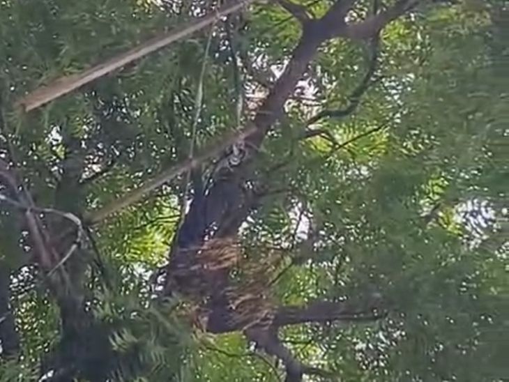 Danger of sparking from the electric line in Chaure Bazaar