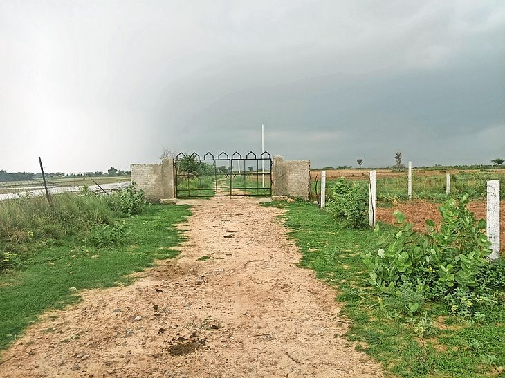 The colony was cut down on the way, a gate was installed and wood was ...
