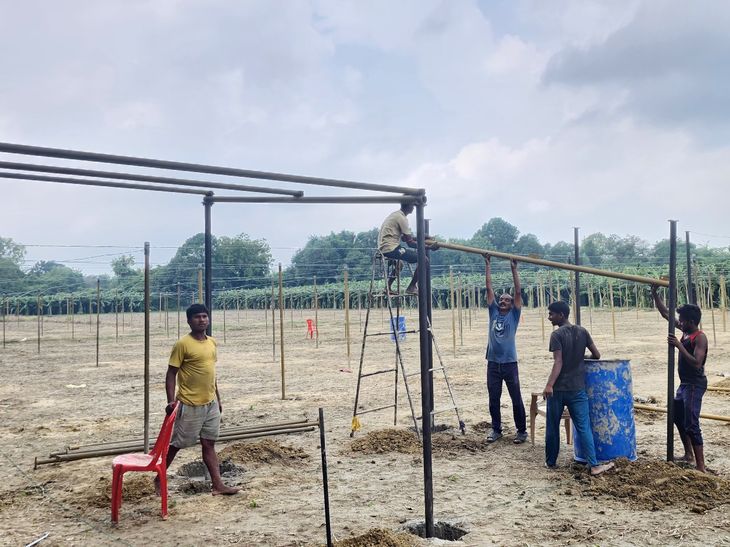 Polyhouse opened in Bikapur, Ayodhya | अयोध्या के बीकापुर में खुला ...