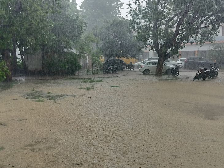 Rain brings relief to farmers in Amaniganj-Khandasa in Ayodhya ...