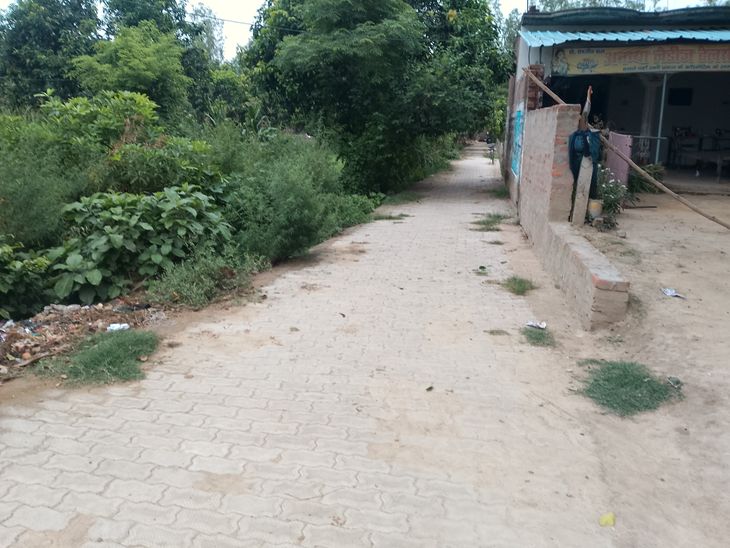 Construction of interlocking road in Lodhanpurwa | लोधनपुरवा में ...