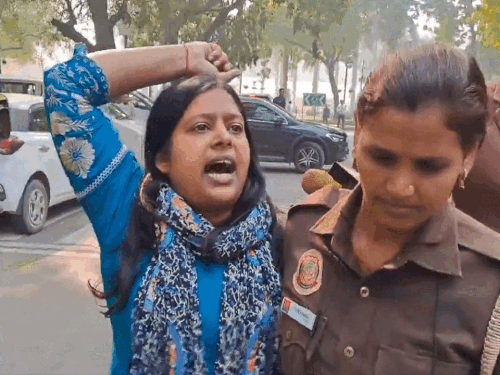 Parliament security lapse Neelam Azad gets bail with conditions jind ...