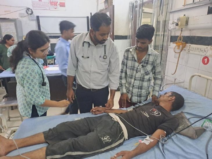 A young man was bitten by a snake in Pali, his condition is critical ...