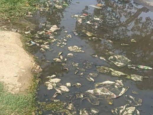 Waterlogging problem in Ranimau Panchayat