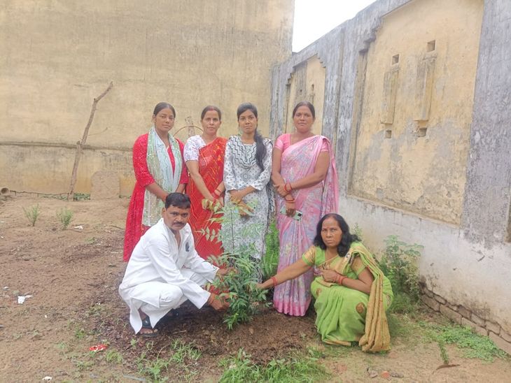 Former MLA of Haidergarh planted saplings