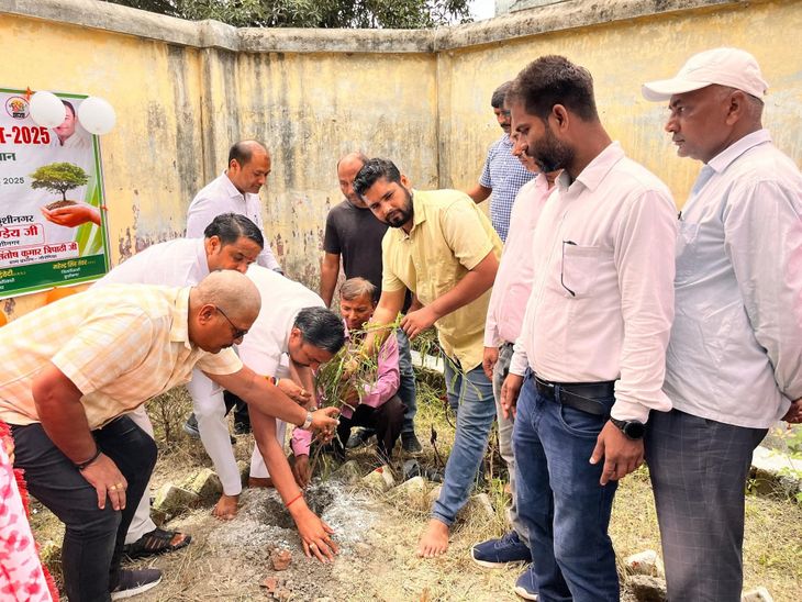Harishankari planting trees in One Tree for Mother campaign | एक पेड़ ...