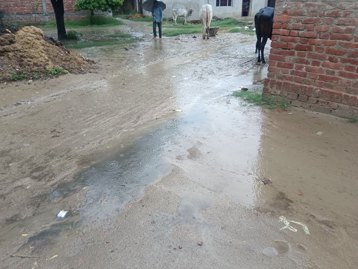 Rain brings relief to people in Lodiya Ghata | लोडिया घाटा में बारिश से ...