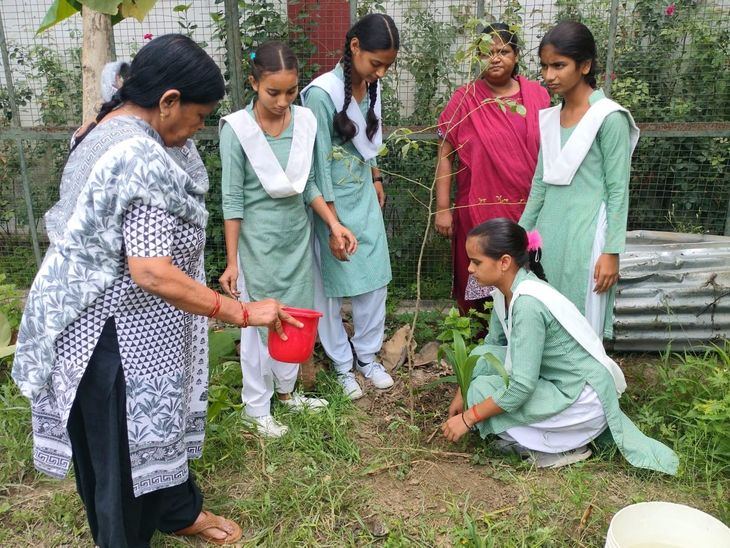 Plantation in the Inter College of Misrikh, Sitapur | सीतापुर के ...