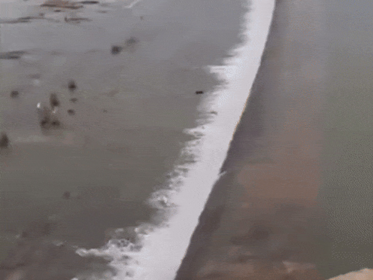 Water level in Harsi dam crossed 870 feet