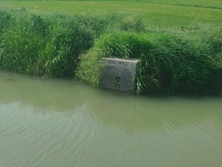 Farmers' crops in Bansgaon are in danger of drying up | बांसगांव में ...