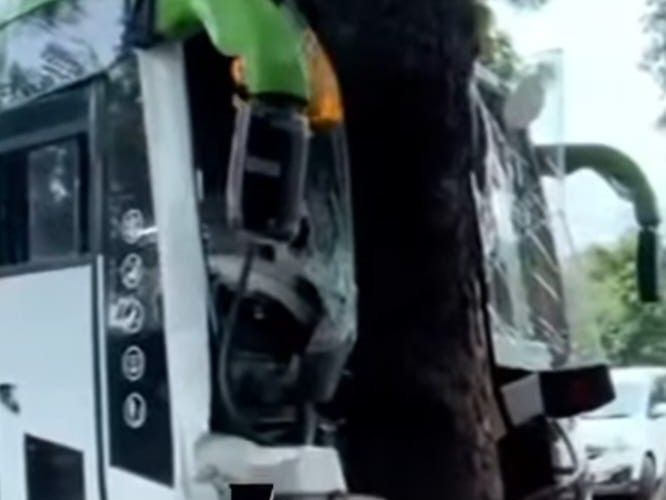 Indore-Burhanpur city bus collided with a tree