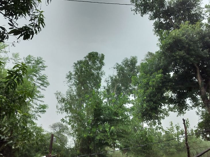 Rain brings relief from heat in Ayodhya