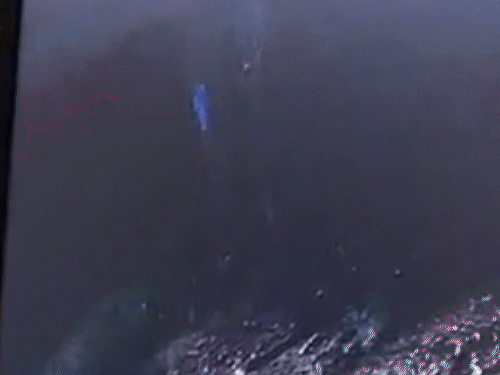 Scorpio collided with a tree in Surguja, two died; VIDEO