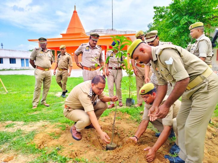 Campaign to establish special forests in Mirzapur | मिर्जापुर में ...
