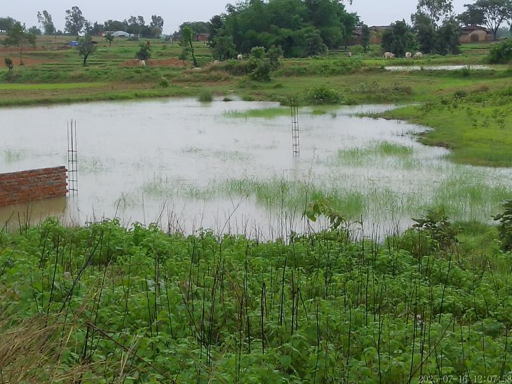 Waterlogging due to two days of rain in Babhani | बभनी में दो दिन की ...