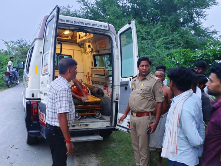 Bike rider injured after tree falls on Sharda canal track | शारदा नहर ...
