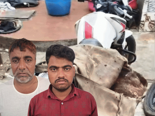 Haryana Nuh Police raid cow beef smuggler arrested