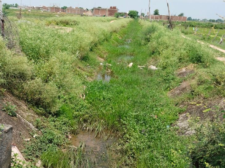 The water released from Harsi dam did not reach the tail end