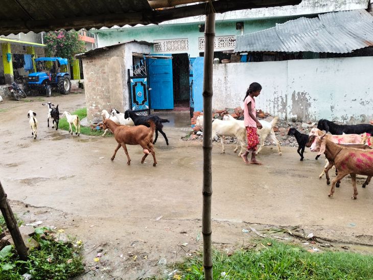 Light rain brings relief to farmers in Basti Saughat | बस्ती साउघाट में ...