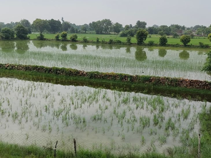 Waterlogging in Sitapur colony of Sabalgarh for last 2 years