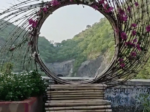 See 10 pictures of Udaipur on World Nature Conservation Day | झीलों से ...