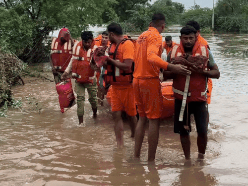 Rain wreaks havoc in Rawatbhata, 2 dead | रावतभाटा में बारिश का कहर, 2 मौत: टापू बने गांव में ...