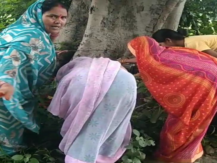 Worship of Peepal tree on Nag Panchami in Tarun