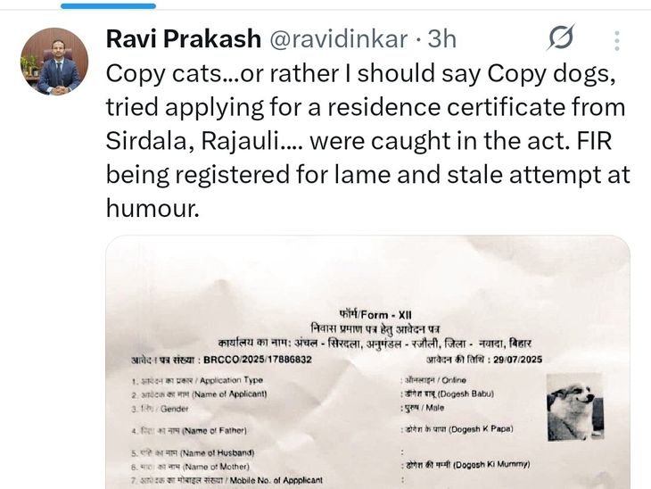 Application for residential post in the name of Dogesh Babu | डॉगेश ...