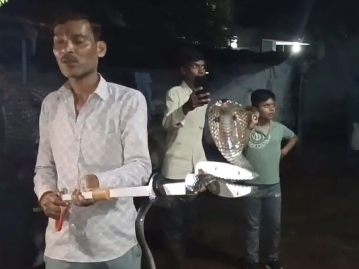 A 3 feet long snake entered a house in Sagar