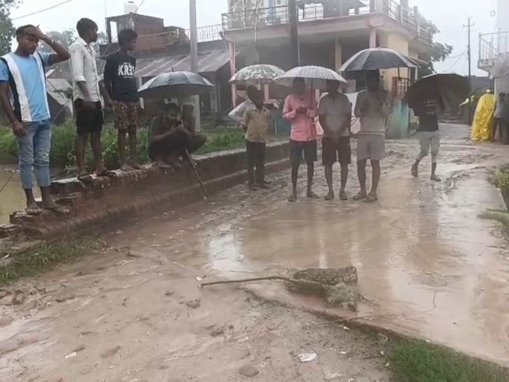 A 15-foot python got caught in the net instead of a fish | मछली की जगह ...