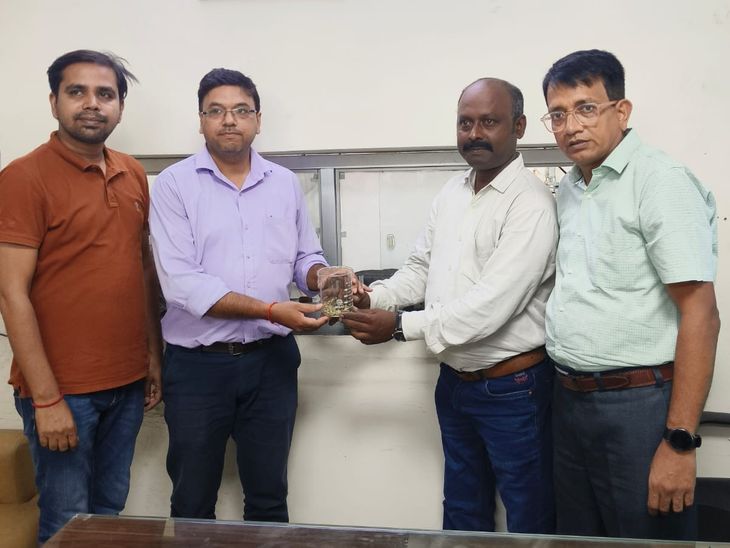 Rare species 'Earth Tiger' spider discovered | दुर्लभ प्रजाति 'अर्थ ...