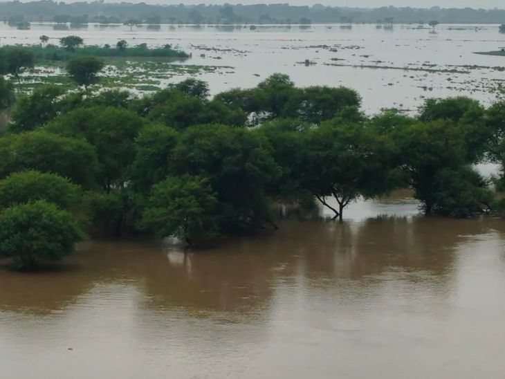 Ganga river rises to high flood level in Ballia | बलिया में गंगा नदी ...