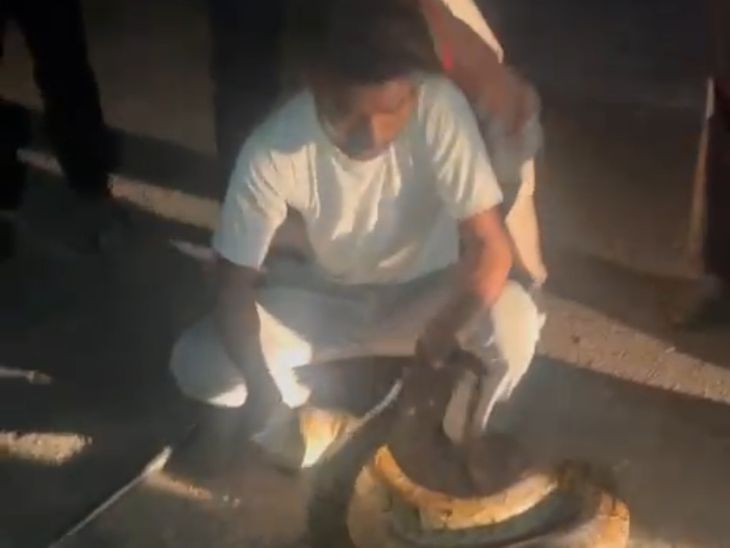 Rescue of 12 feet long python in Meerut | मेरठ में 12 फिट के अजगर का ...