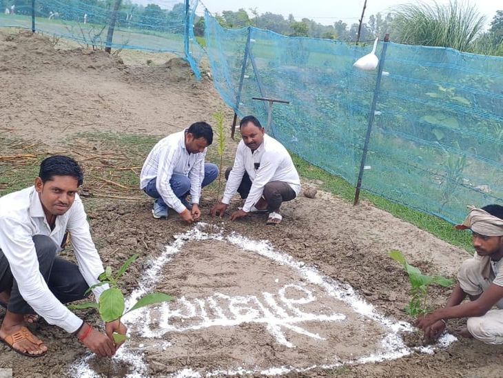 Harishankari plantation in three villages of Katra Bazaar