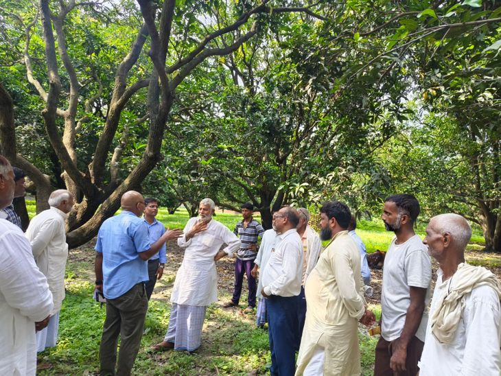 Muhammadabad Gohna will become a special mango block