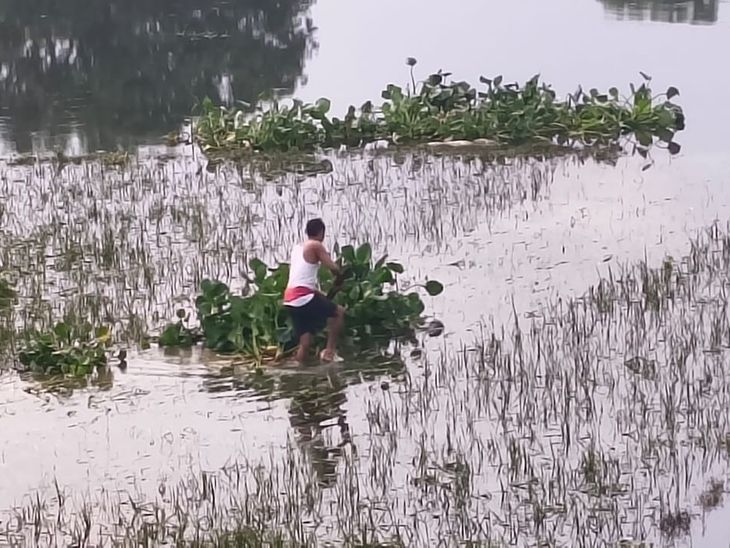 Destroyed crops in Varanasi's fields are a cause of concern