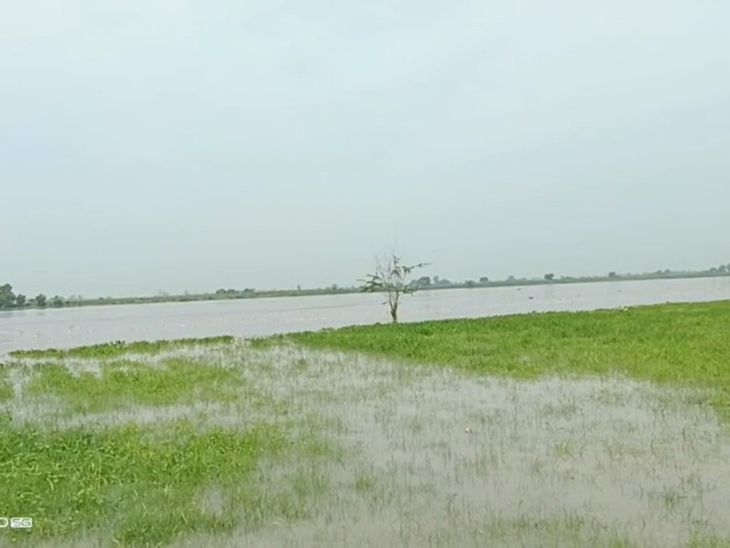Palwal-yamuna-water-level-nears-danger-mark-hathini-kund-barrage-flood ...