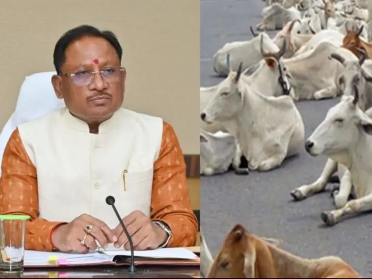 Now there will be no Gauthan in Chhattisgarh, 'Gau Dham' will be built