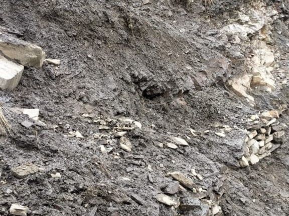 Himachal Chamba 150 Sheep and Goats Buried in Dughi Dhar Landslide ...