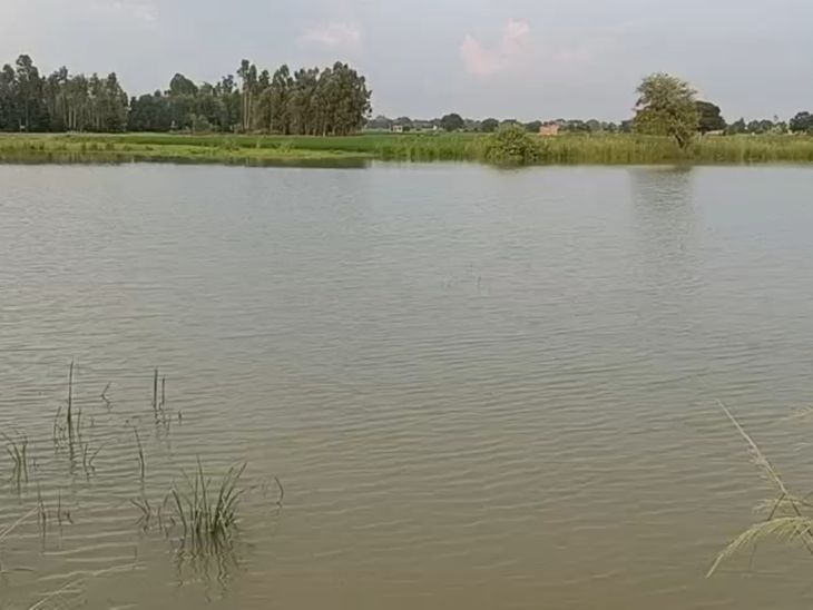 Flood wreaks havoc in Hardoi's Madhoganj | हरदोई के माधोगंज में बाढ़ का ...