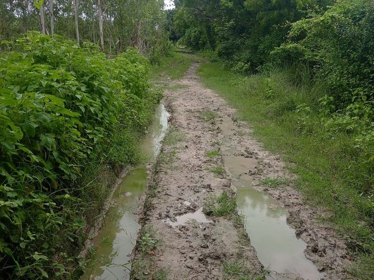 Bikapur's Mangari Kachha road becomes a cause of trouble | बीकापुर के ...